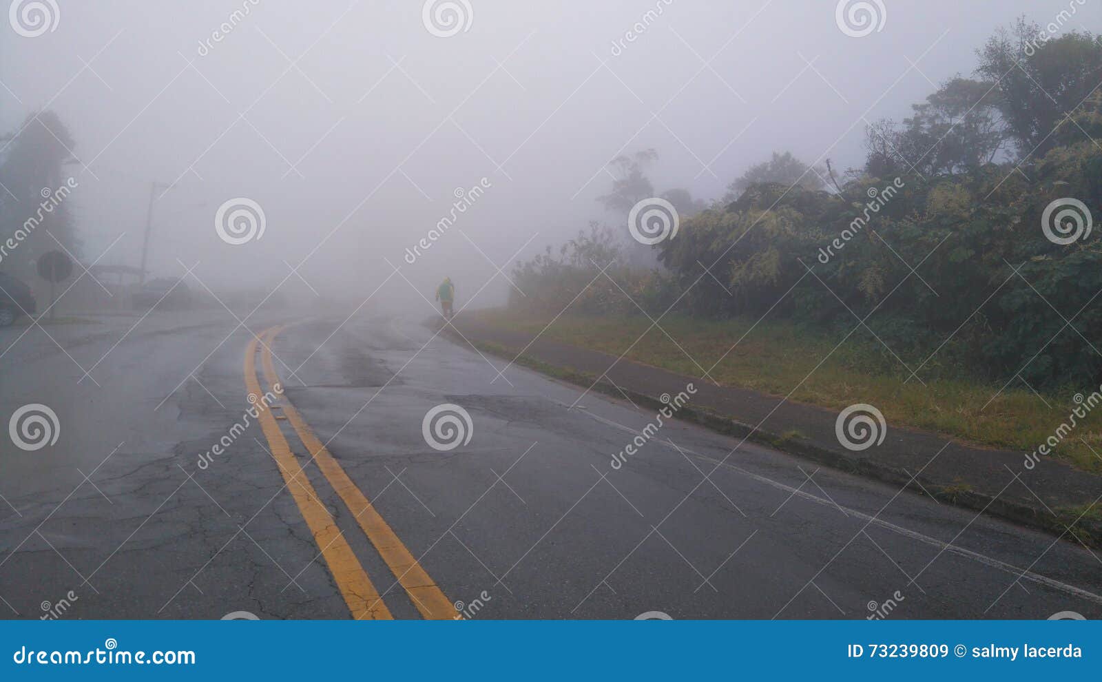 Misty road stock image. Image of road, drive, misty, landscape - 73239809