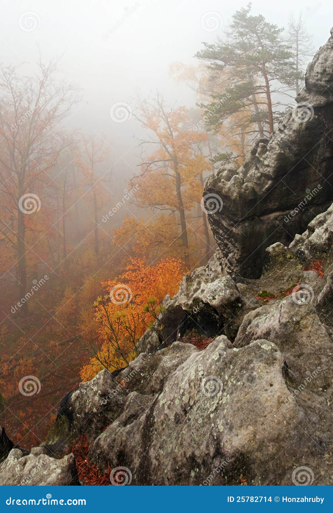 Misty Rocks and Trees in Forest Stock Photo - Image of leaf, landscape ...