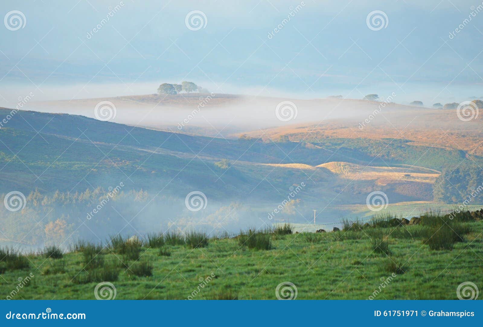 A Misty Scene in Northumberland Stock Image - Image of misty, summer ...
