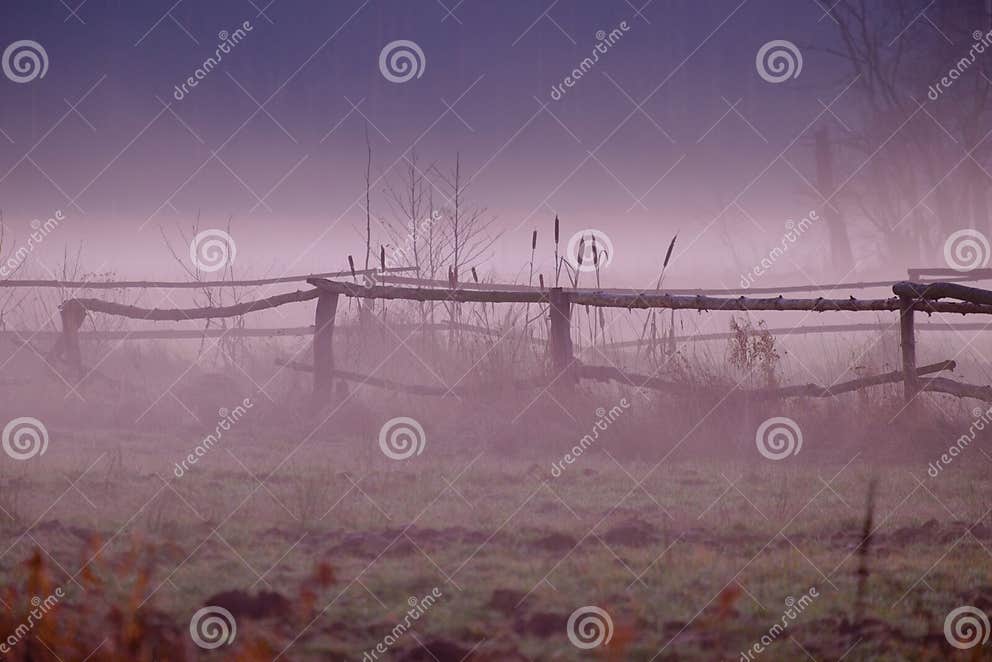 Misty spring landscape stock image. Image of hazy, wood - 77508195