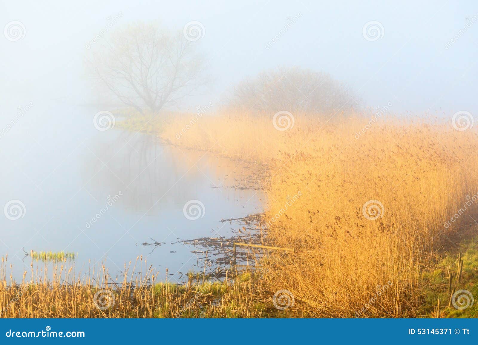 Misty spring morning lake stock image. Image of tranquil - 53145371