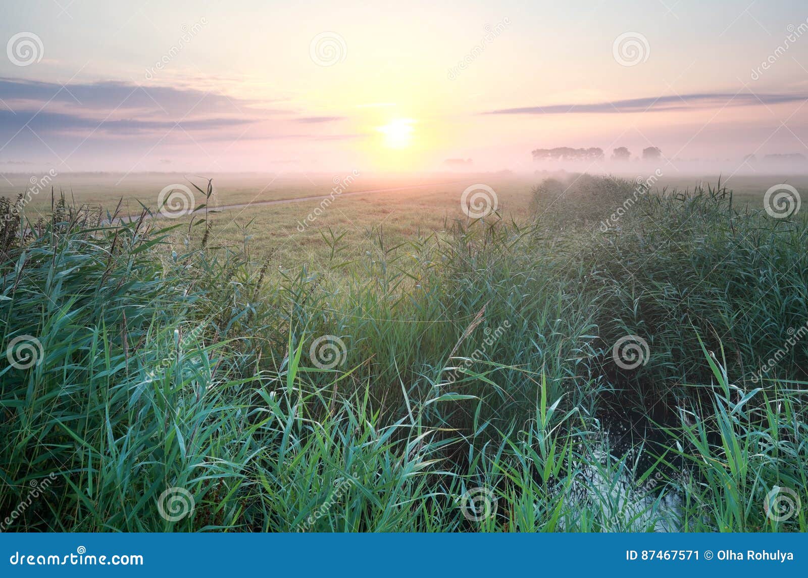 Misty Summer Sunrise Over Meadow Stock Image - Image of green, meadow ...