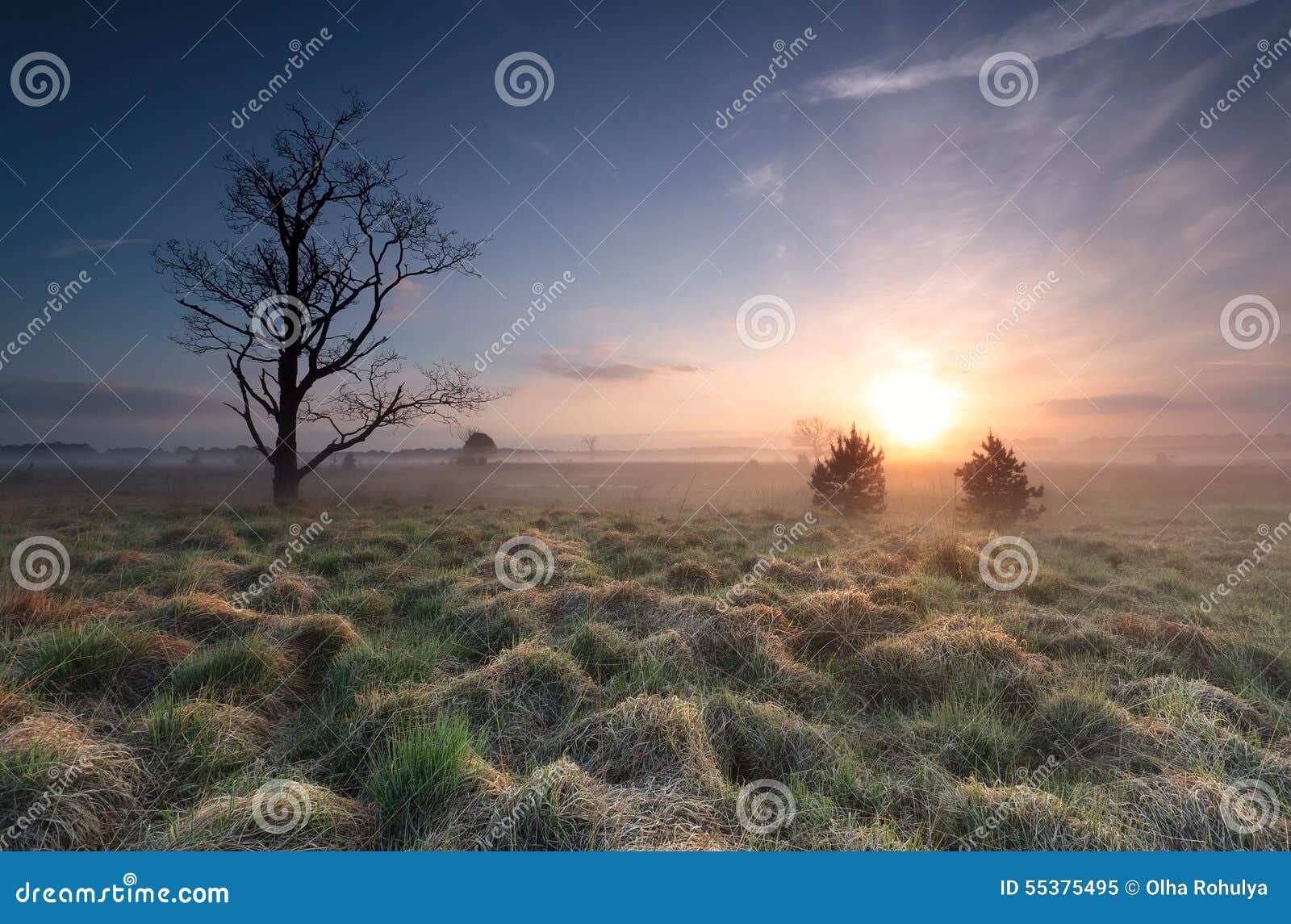 Sunrise Marsh Bodie Island Outer Banks North Carolina NC Stock Photo ...