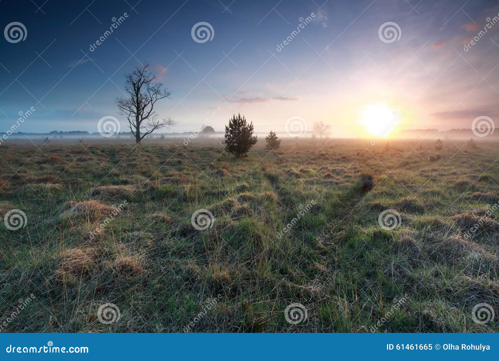 Misty Sunrise Over Marsh in Spring Stock Image - Image of landscape ...