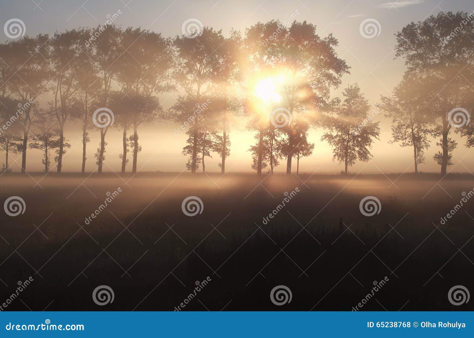 Misty Sunrise Over Summer Meadow Stock Photo - Image of scenic, mist ...