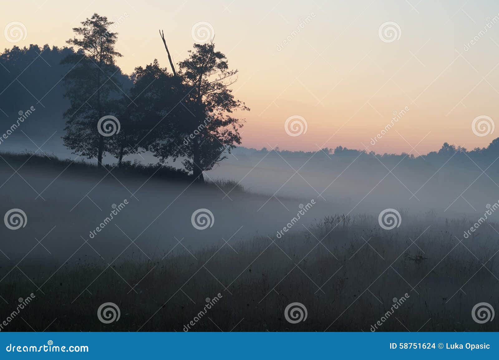 Misty sunset stock photo. Image of grass, mist, trees - 58751624