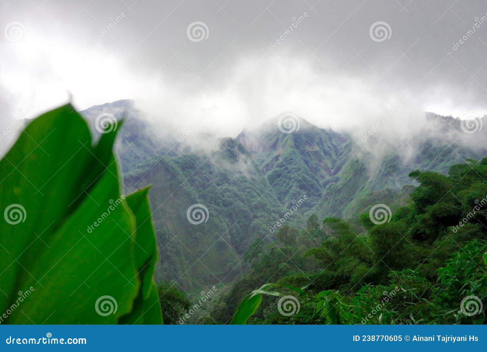 Misty Turtle Hill at Night with Greenery All Around Stock Image - Image ...