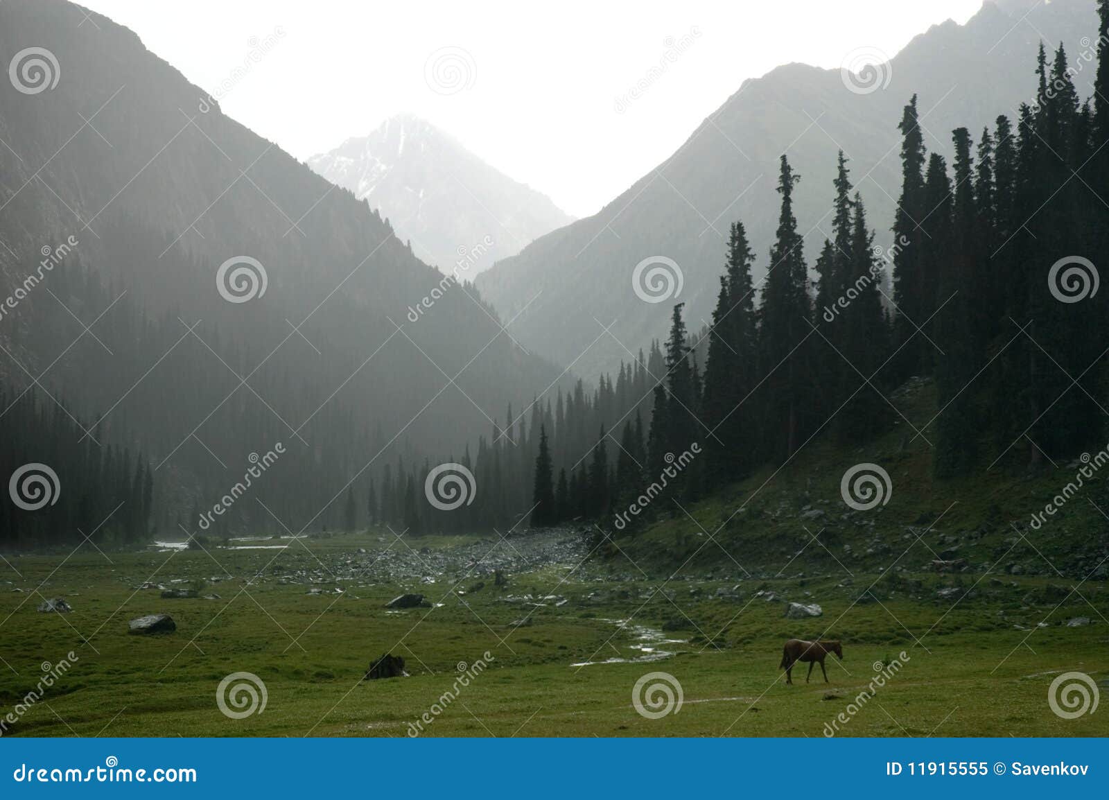 Misty valley stock image. Image of mountain, trekking - 11915555