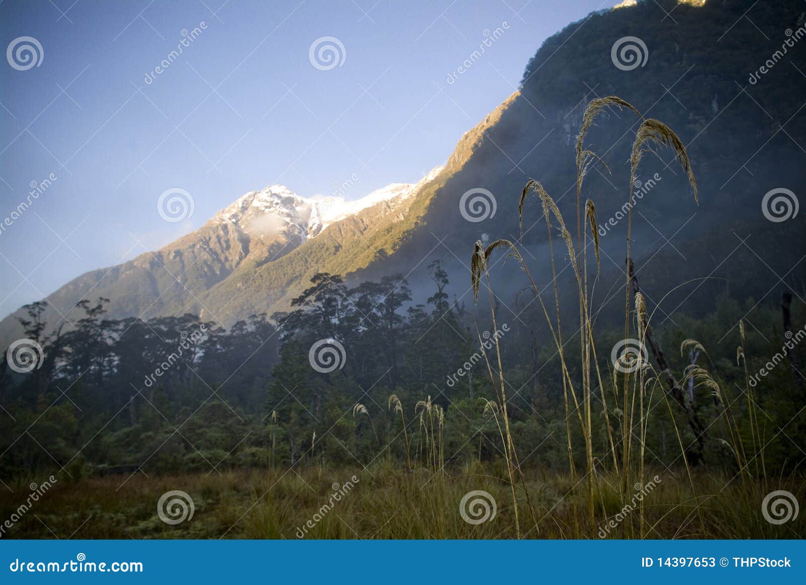 Misty Valley stock image. Image of trek, foggy, tourism - 14397653