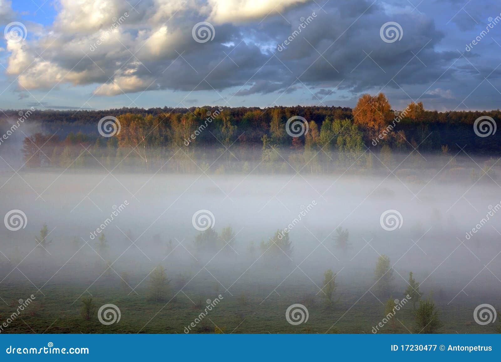 Misty valley stock image. Image of mist, blue, valley - 17230477