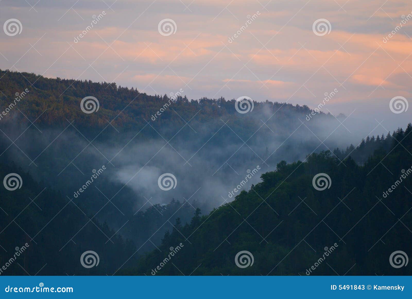 Misty valley stock image. Image of green, misty, plants - 5491843