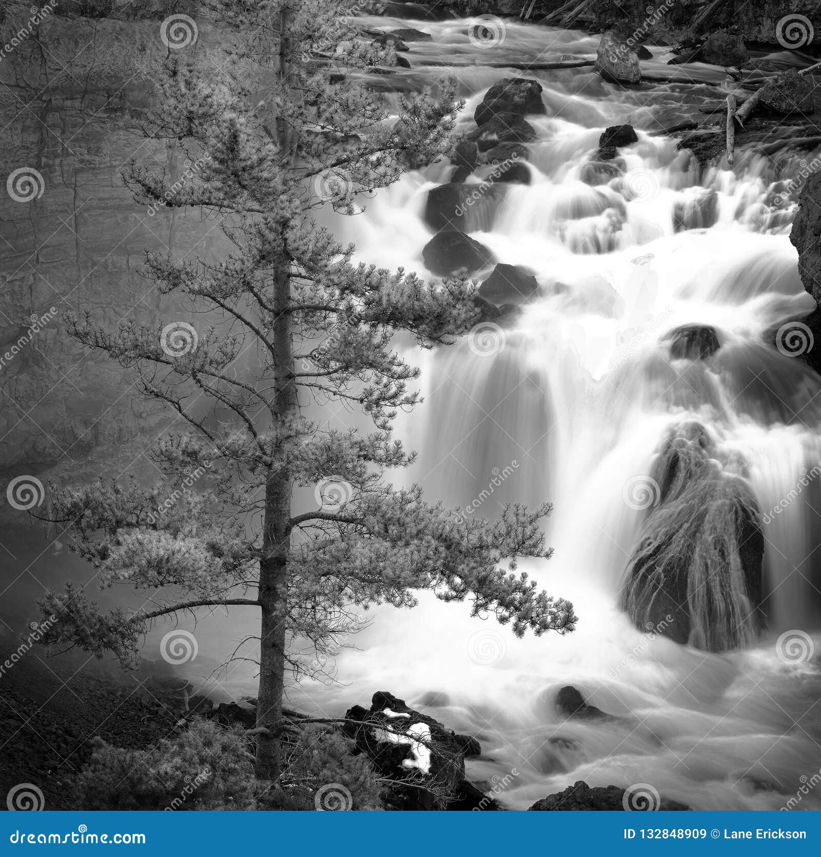 Misty Waterfall Water Cascade Down Rocks with Pine Tree Stock Image ...
