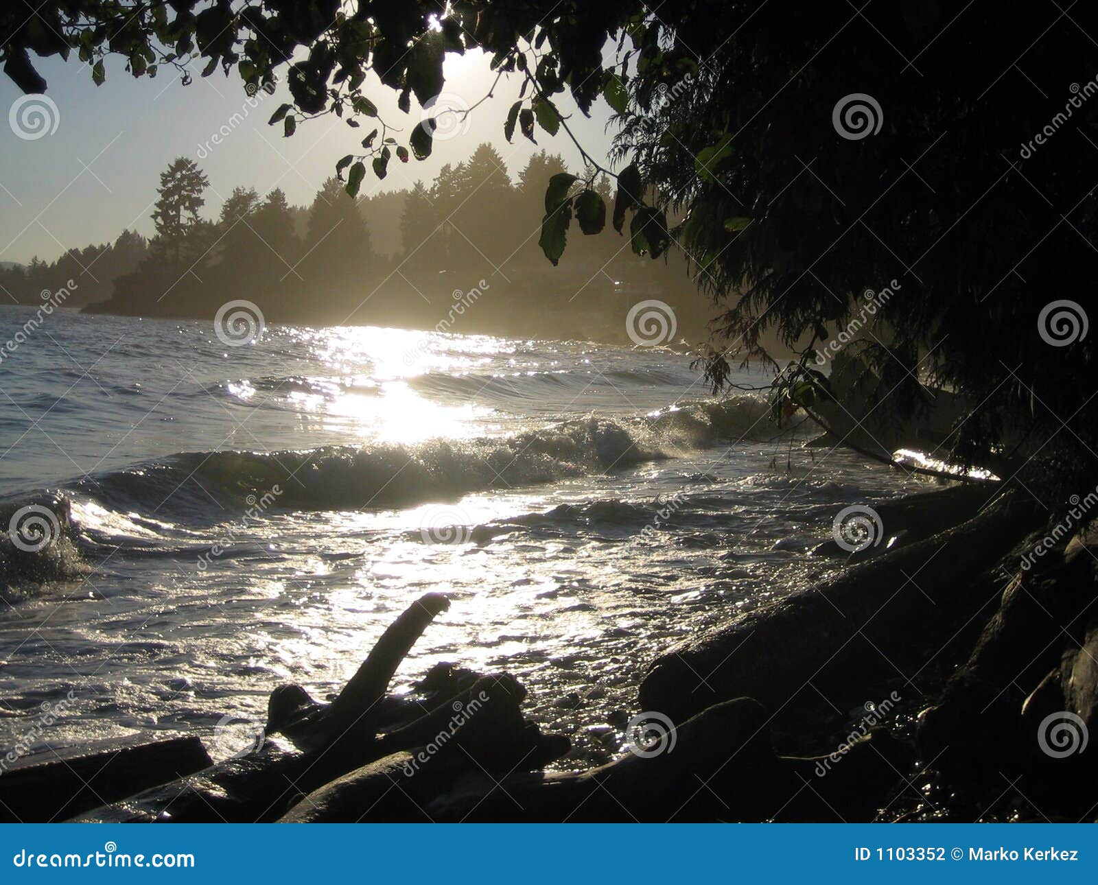 Misty Waves stock photo. Image of waves, beach, logs, mist - 1103352