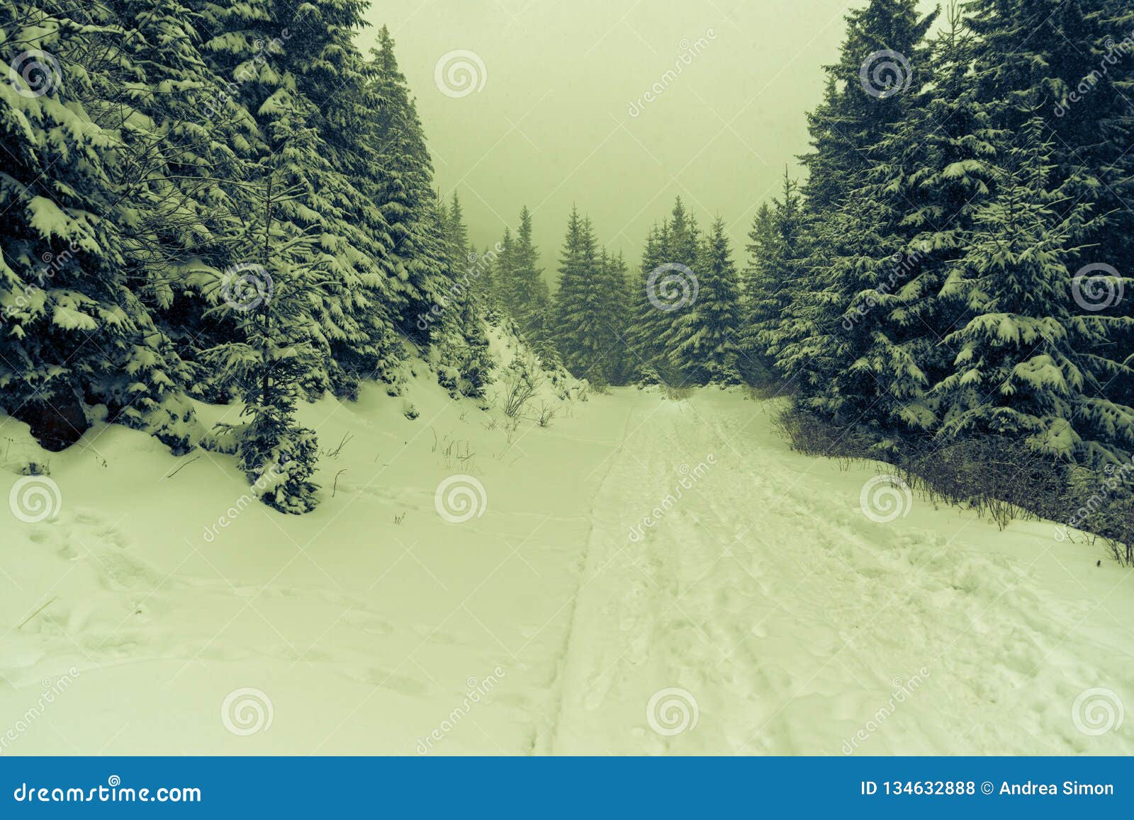 Misty Landscape Stock Images - Download 148,641 Royalty Free Photos