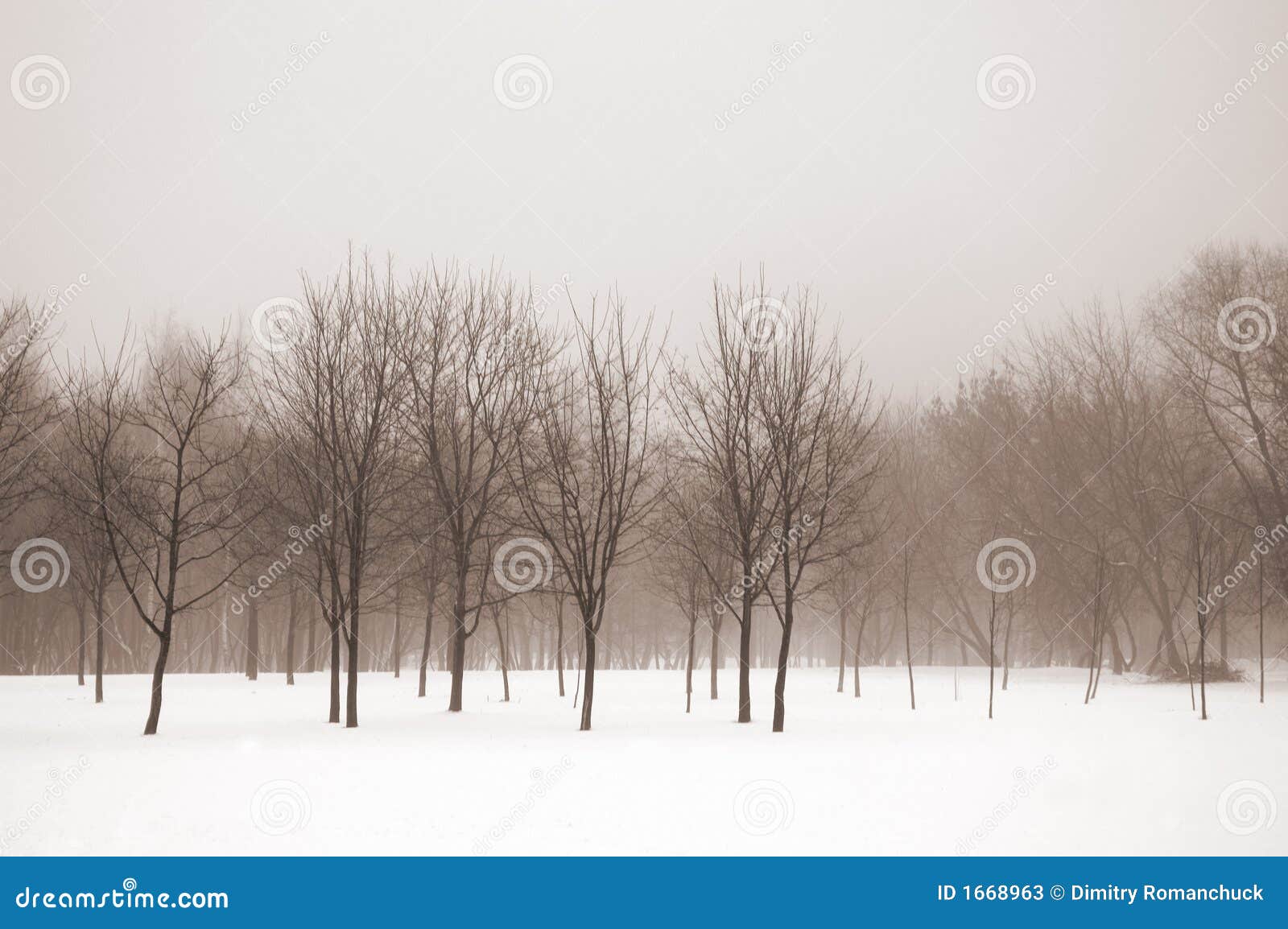 Misty winter landscape stock image. Image of christmas - 1668963