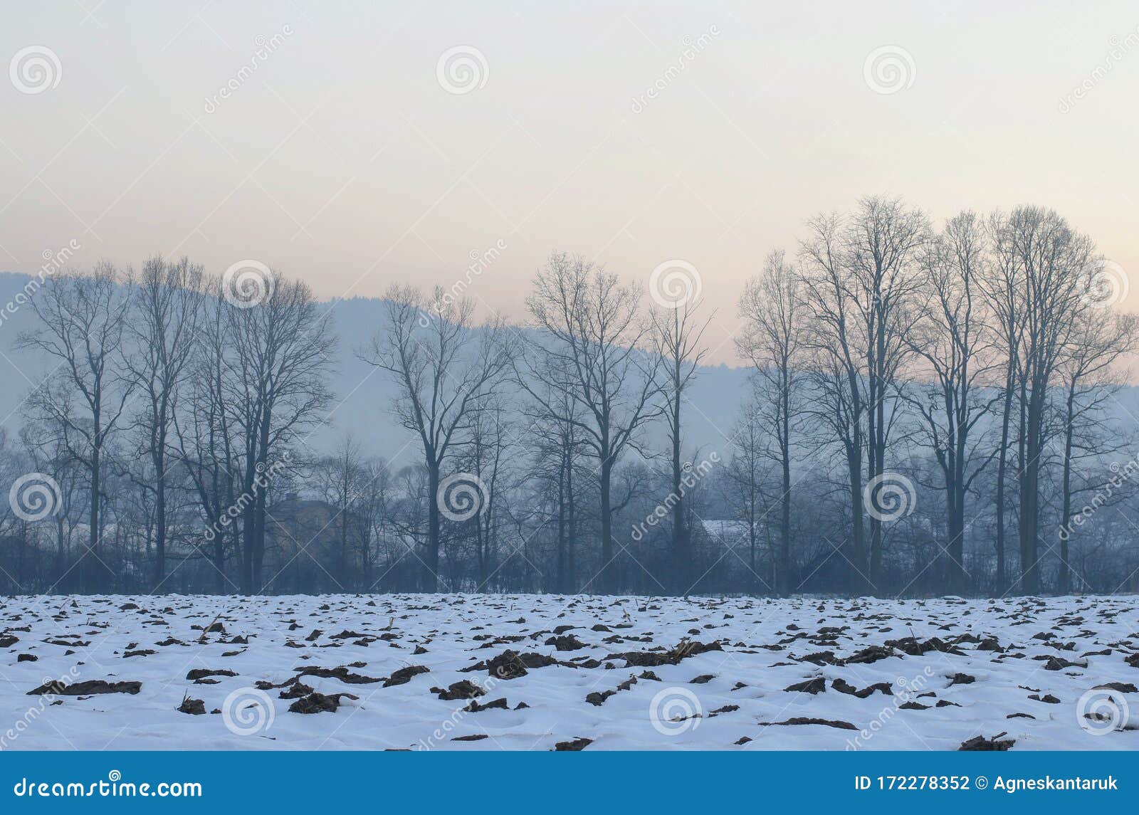 Misty winter landscape stock photo. Image of snow, mist - 172278352