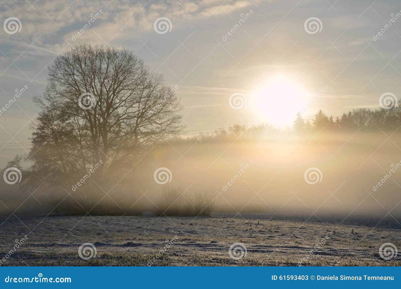 Misty winter morning stock image. Image of atmosphere - 61593403