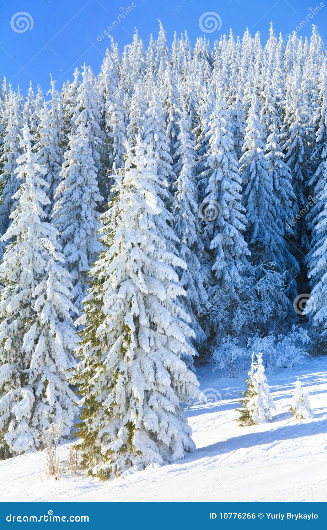 Misty Winter Mountain Landscape Stock Photo - Image of snowfall, blue ...