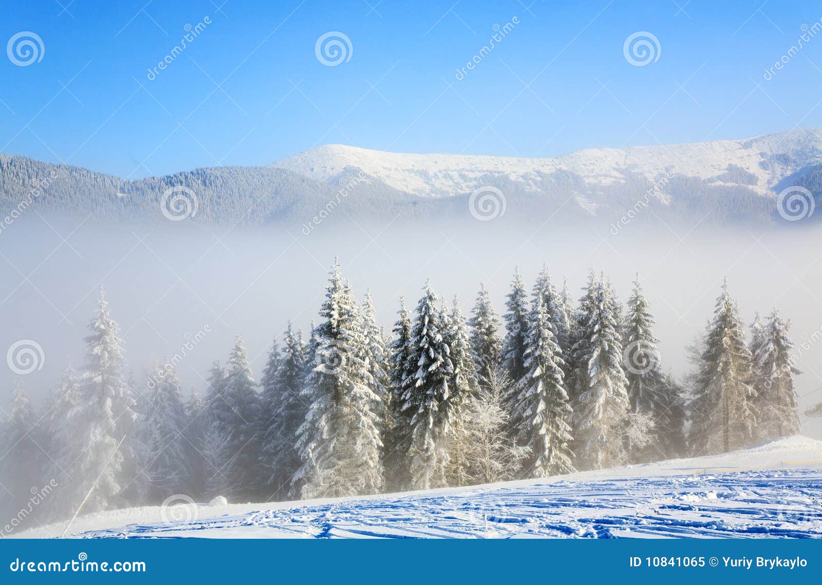 Misty Winter Mountain Landscape Stock Image - Image of outdoors, cold ...