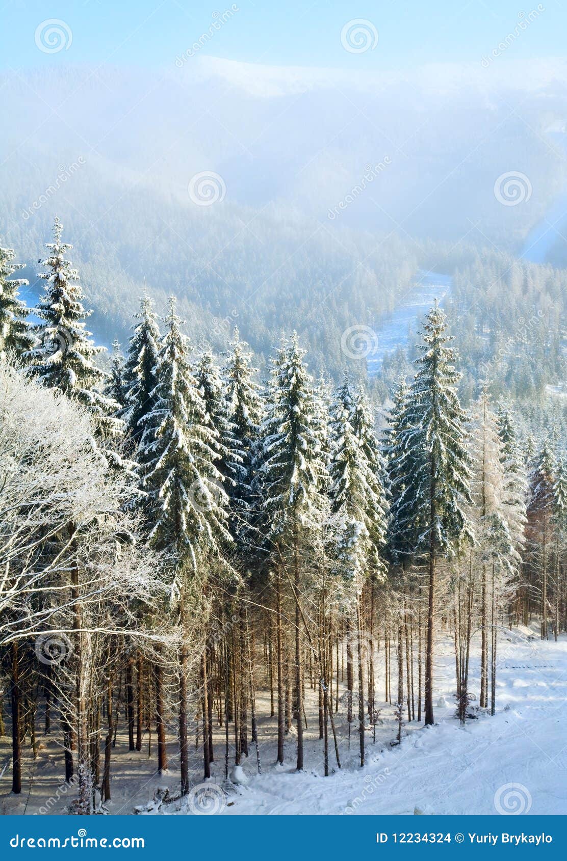 Misty Winter Mountain Landscape Stock Photo - Image of season, outdoors ...