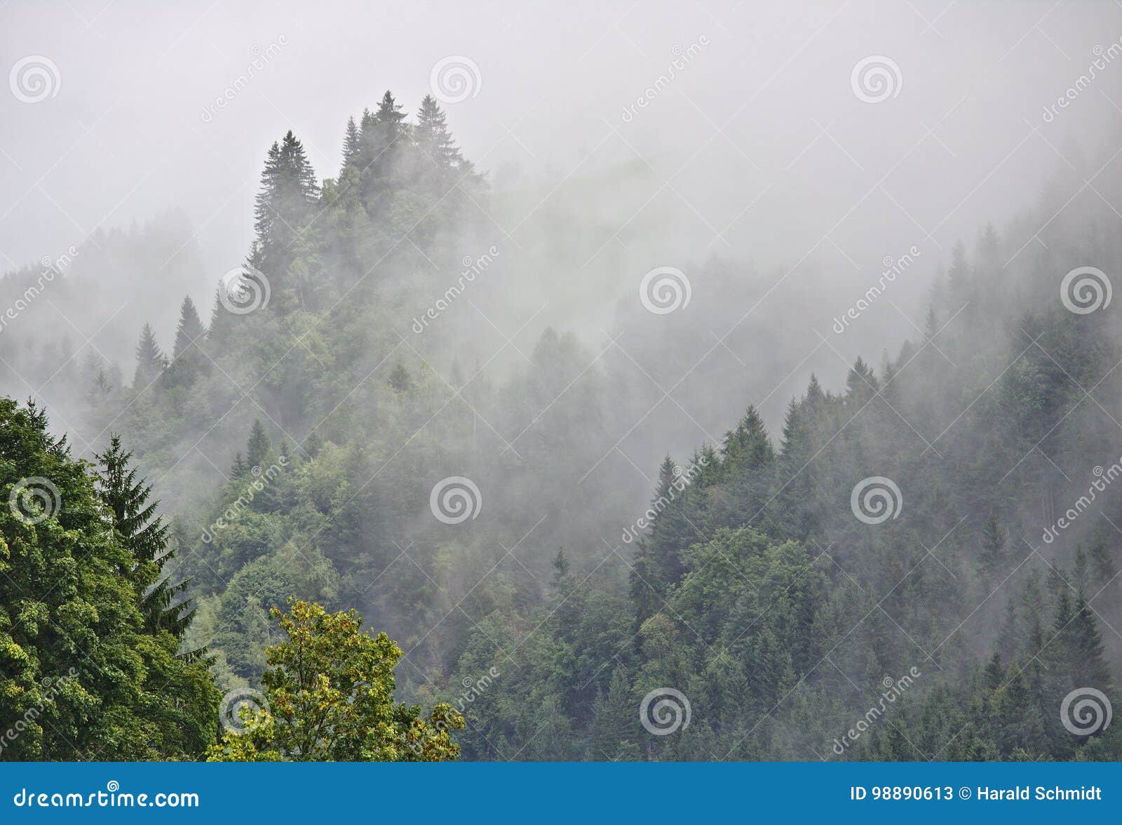 Misty Wooded Valley in the Austrian Alps with Half Visible Peak in the ...