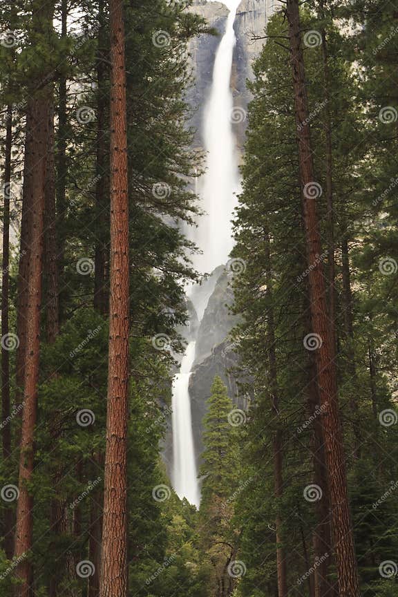 Misty Yosemite Falls through Forest Stock Image - Image of nature ...