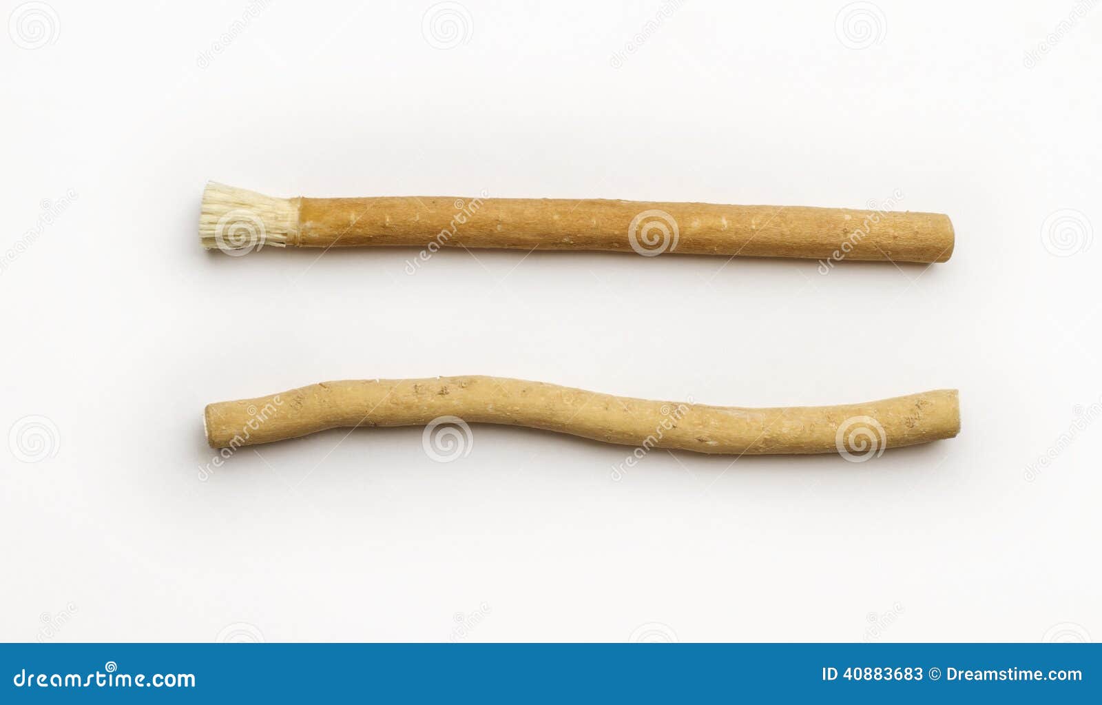 Miswak sticks stock image. Image of cleaning, dental - 40883683