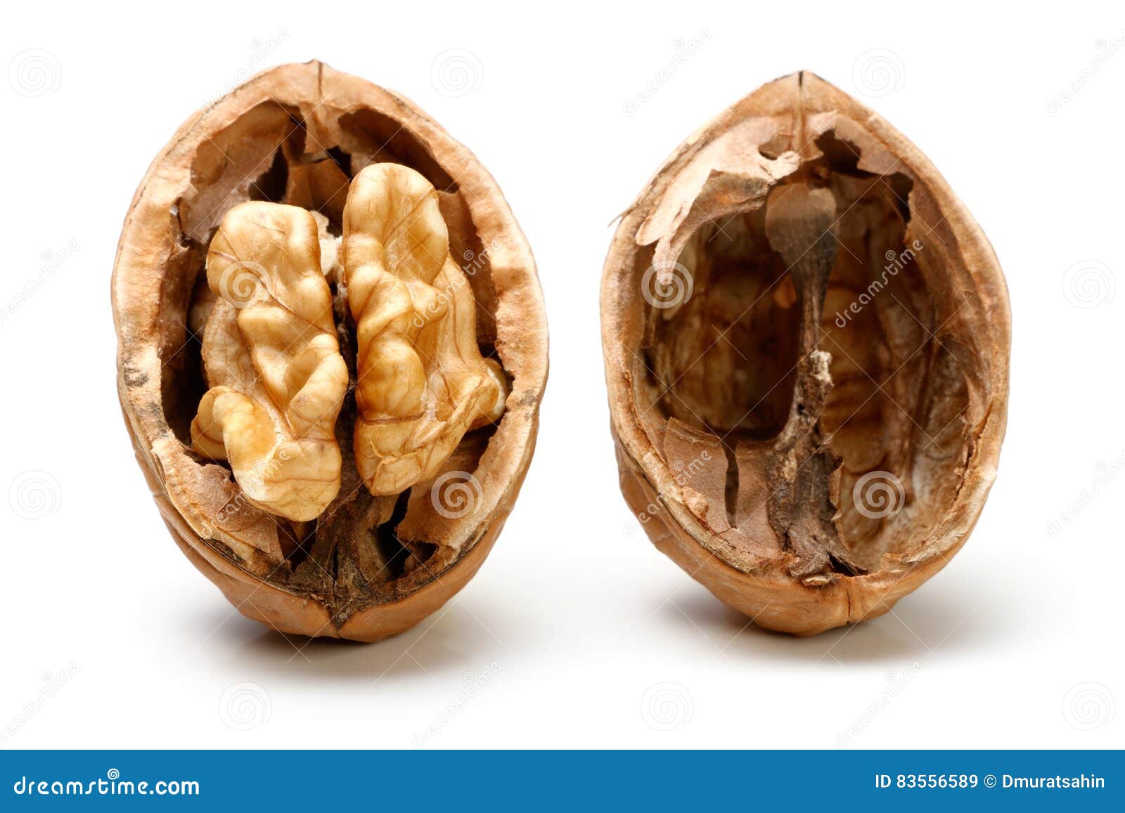 Mitad al pedazo de nuez imagen de archivo. Imagen de grupo - 83556589