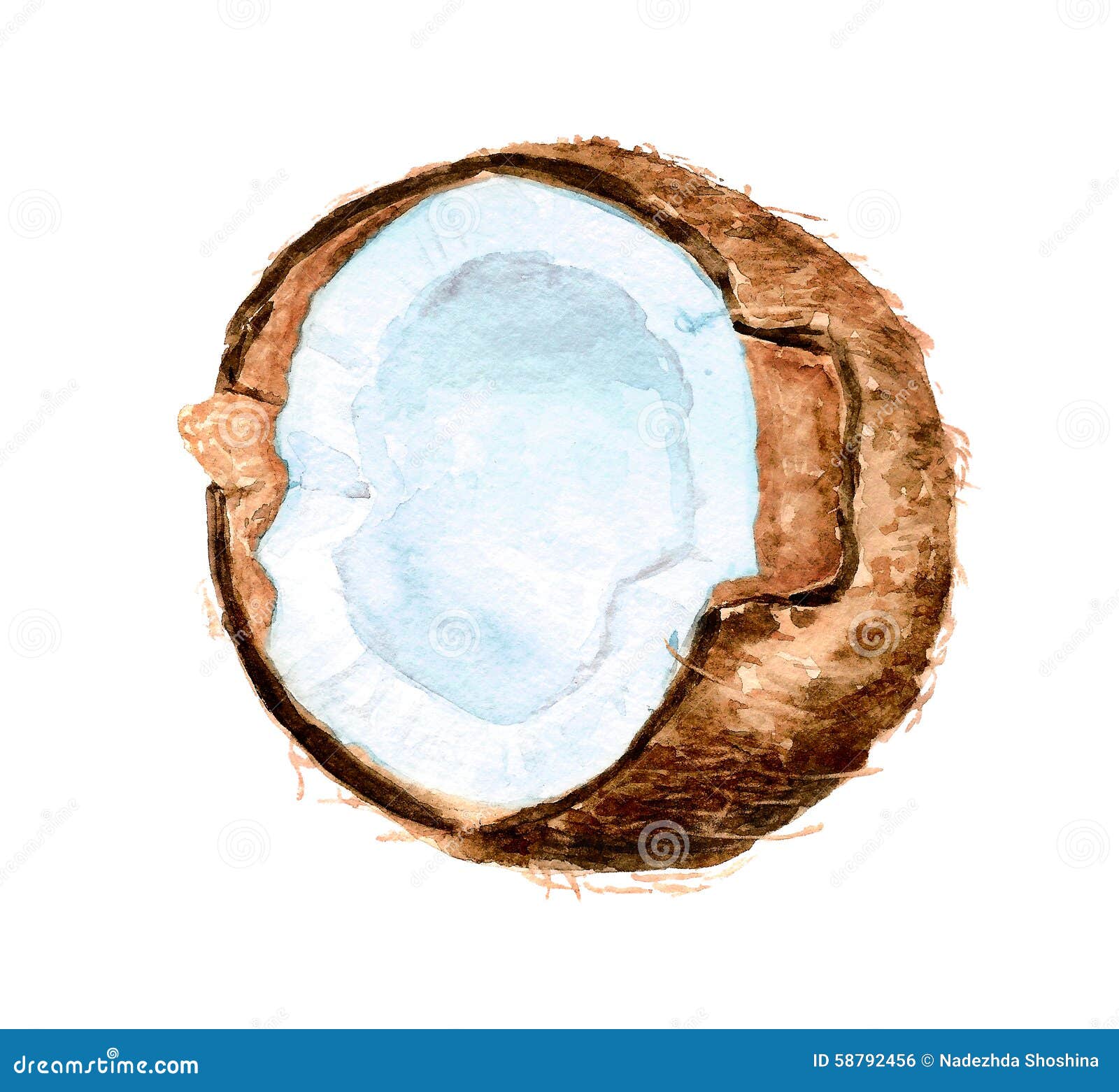 Mitad del coco stock de ilustración. Ilustración de coma - 58792456