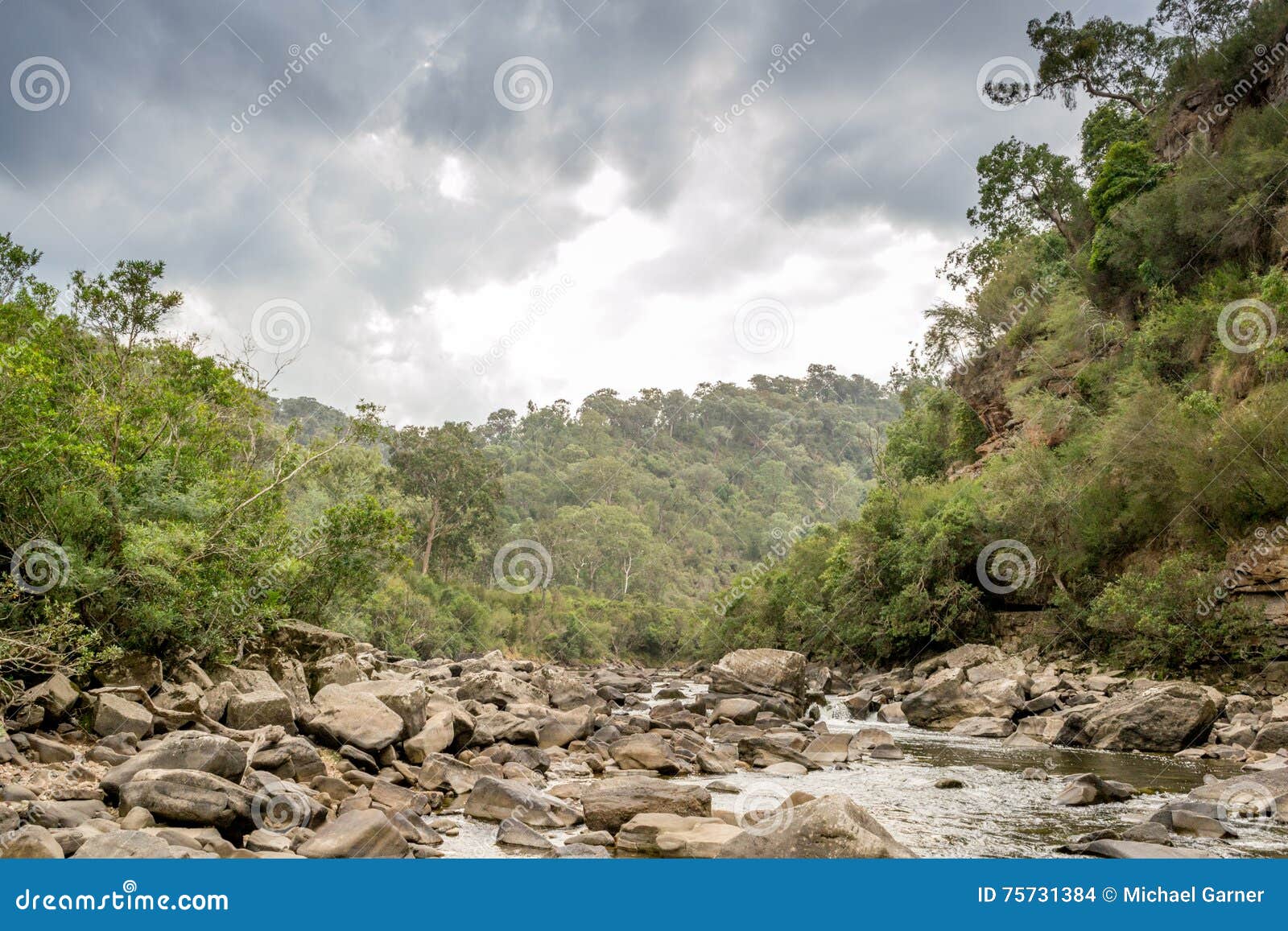 Mitchell River in Gippsland, Victoria, Australia Fotografia Stock ...