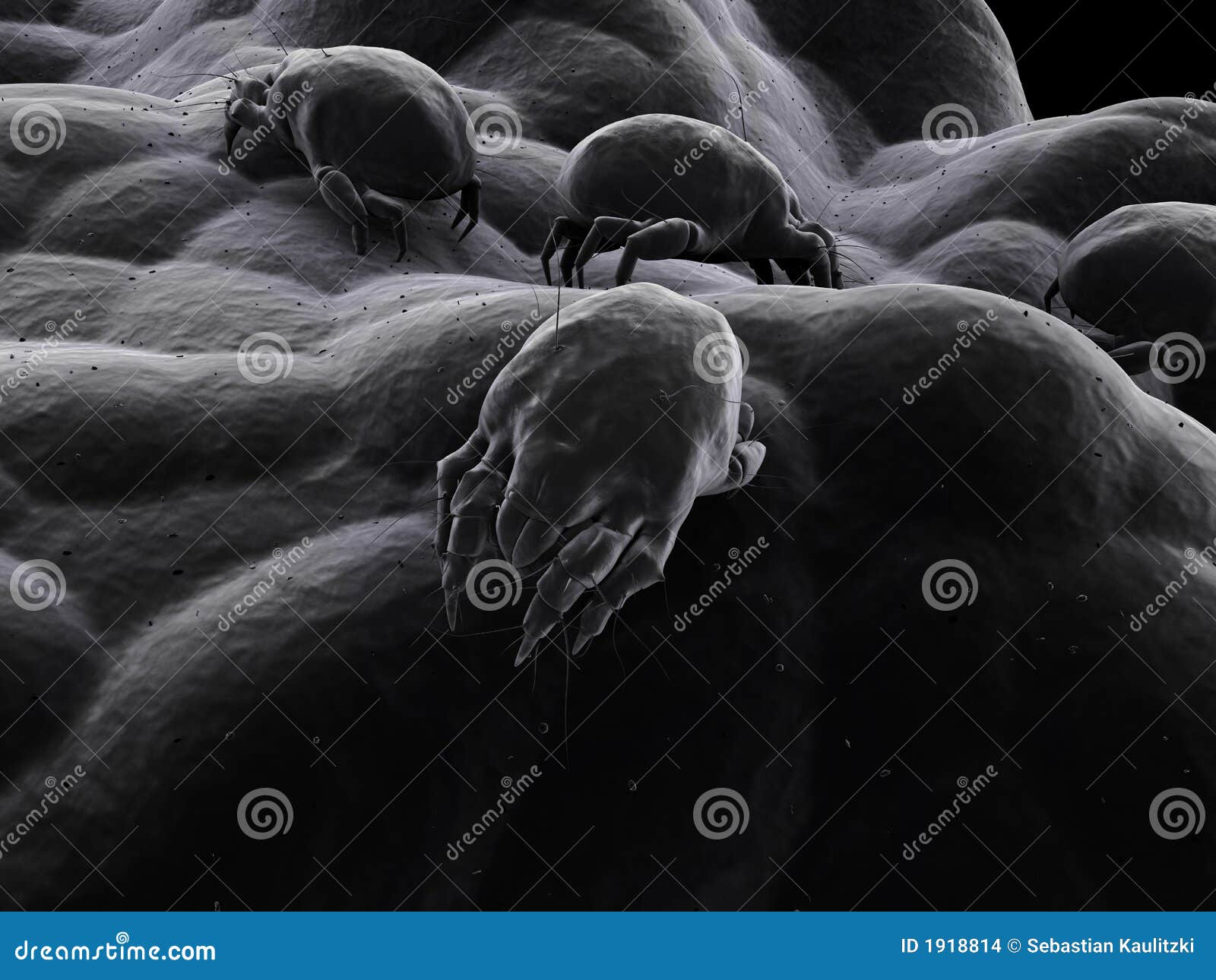 Mite stock illustration. Illustration of electron, marco - 1918814