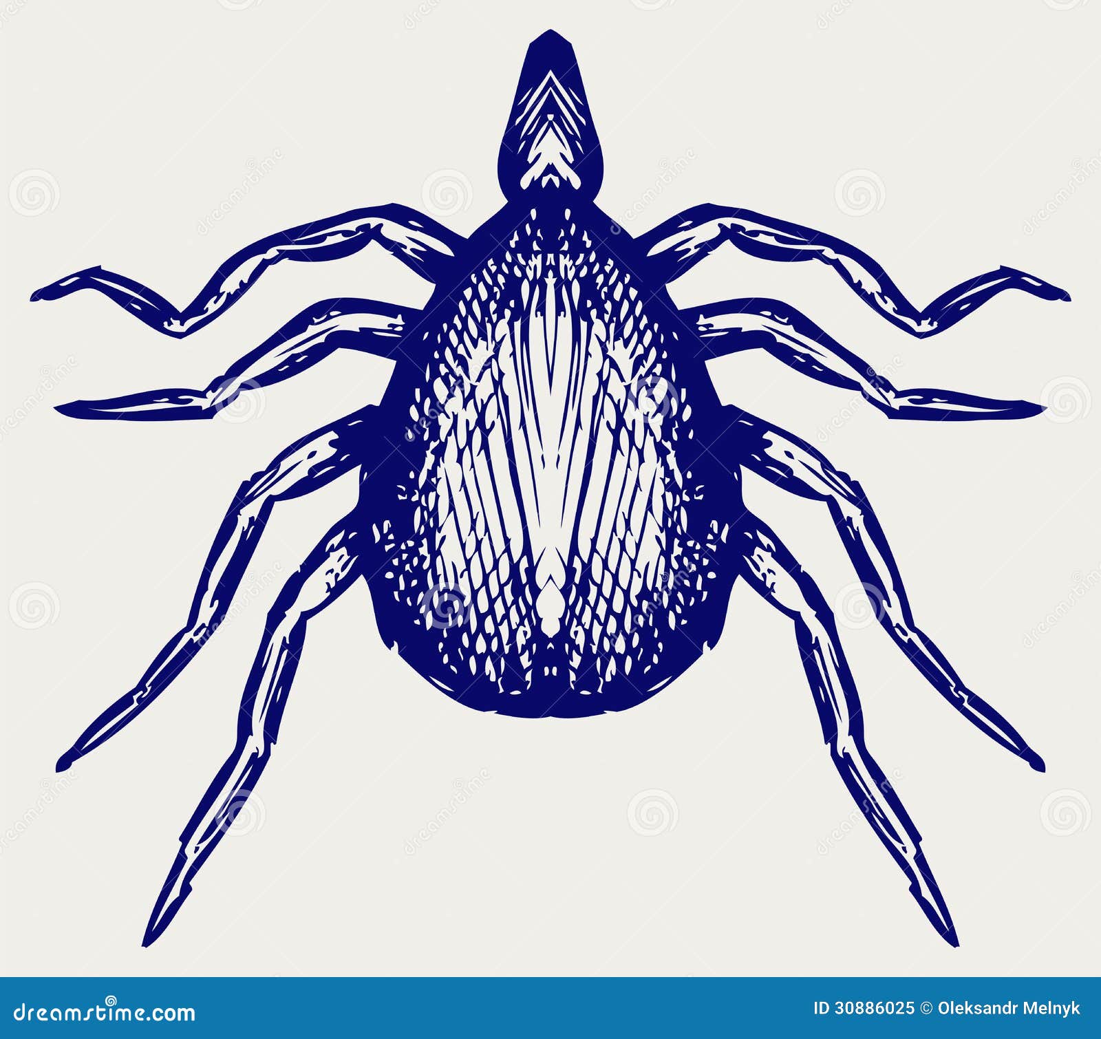 Mite bug stock vector. Illustration of freehand, acarus - 30886025