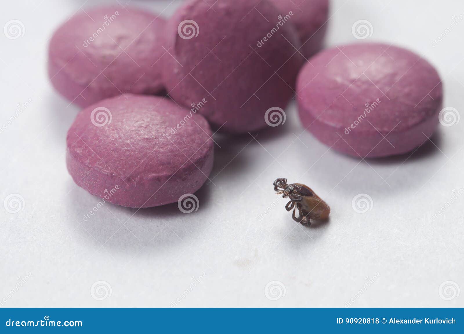 Mite and tablets stock photo. Image of meningitis, arthropod - 90920818