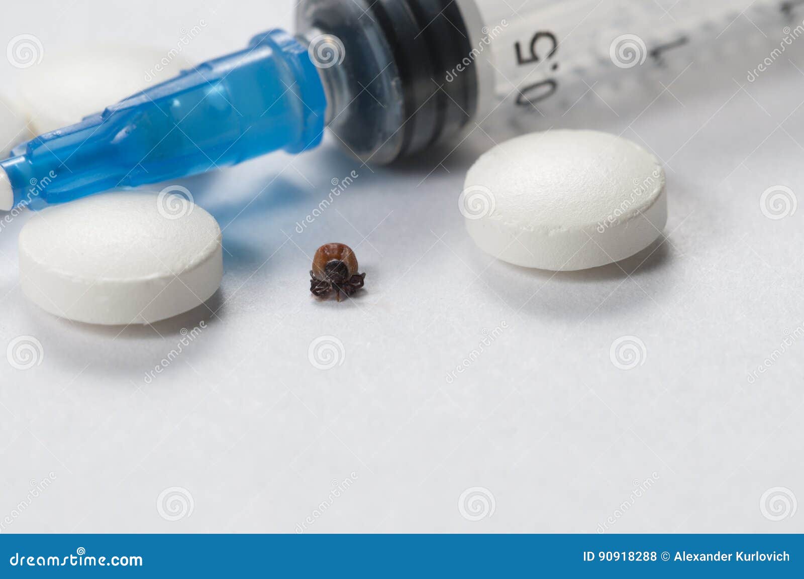 Mite, tablets and syringe stock photo. Image of arthropod - 90918288