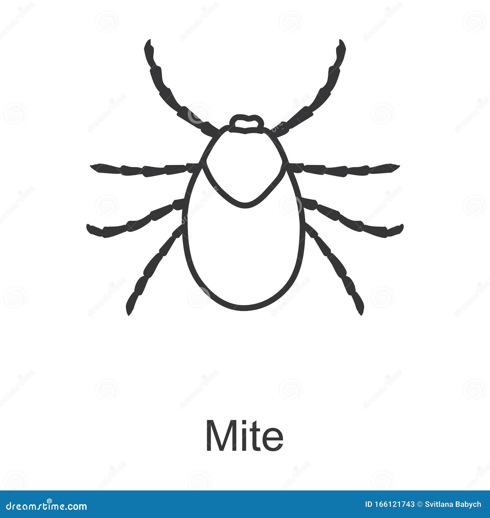 Mite Vector Icon.Line Vector Icon Isolated on White Background Mite ...