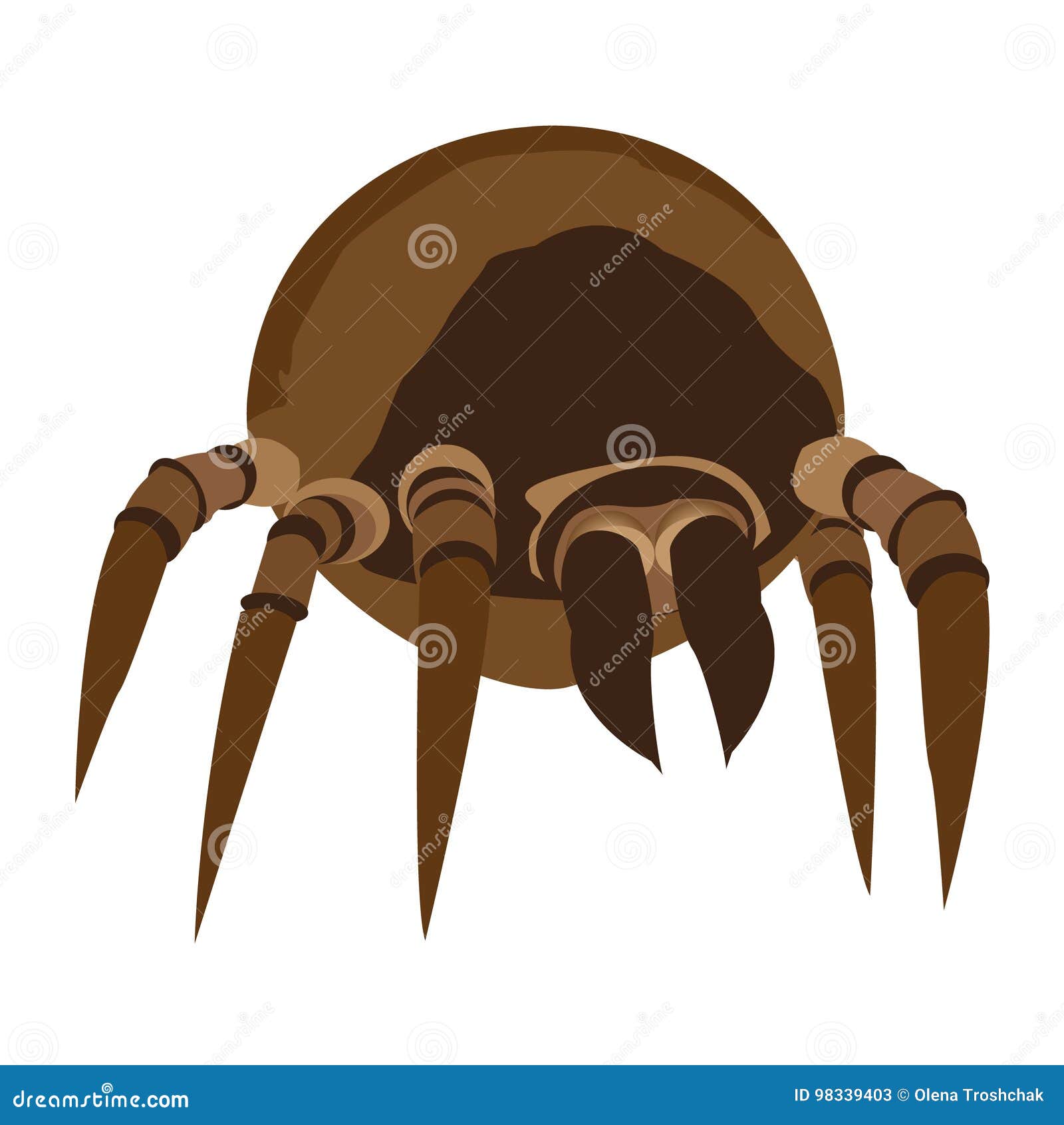 Mite. Vector Drawing | CartoonDealer.com #78605278