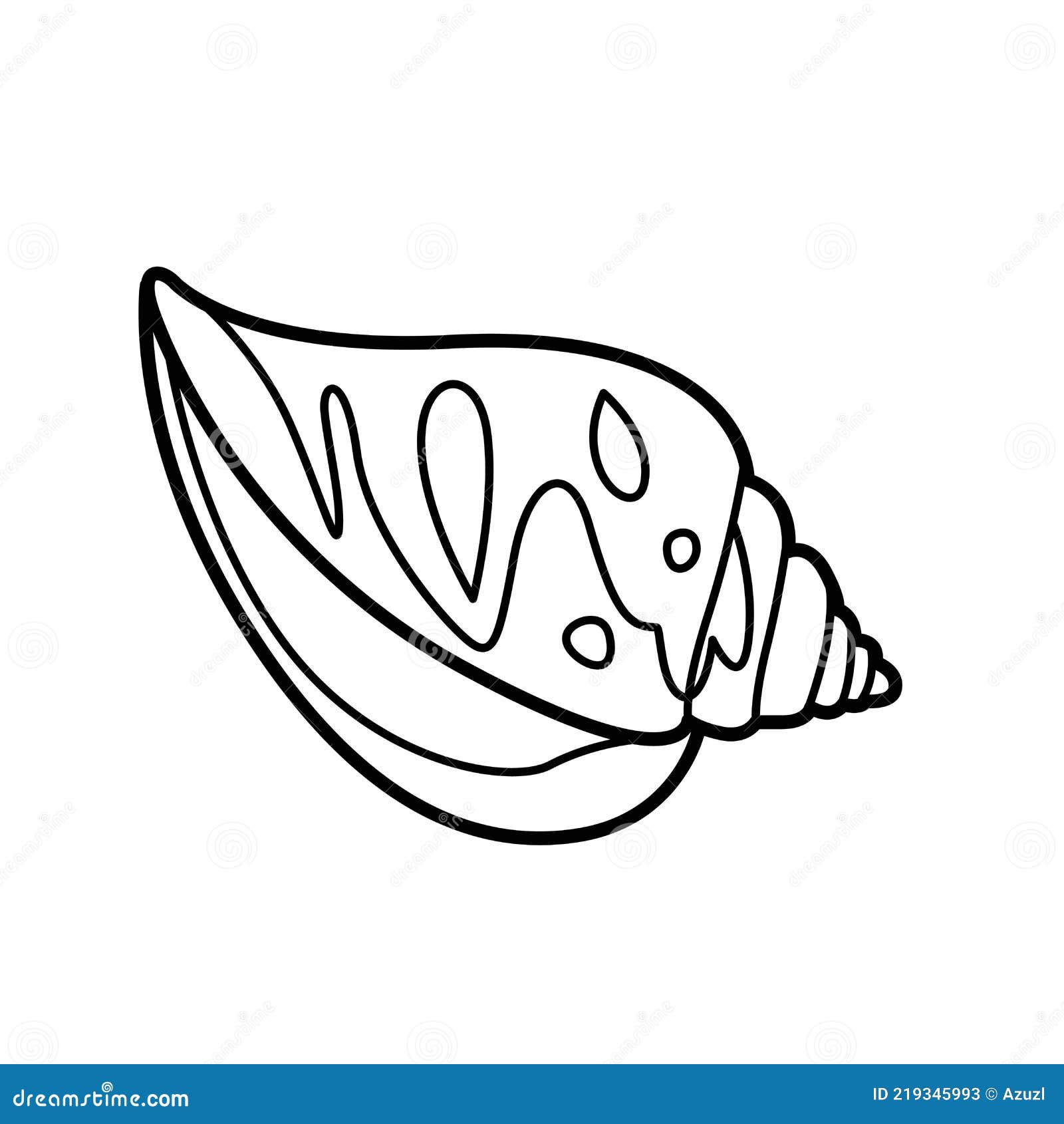 Miter Motley Cone Shell in the Drawing Circles Outlined for Coloring ...