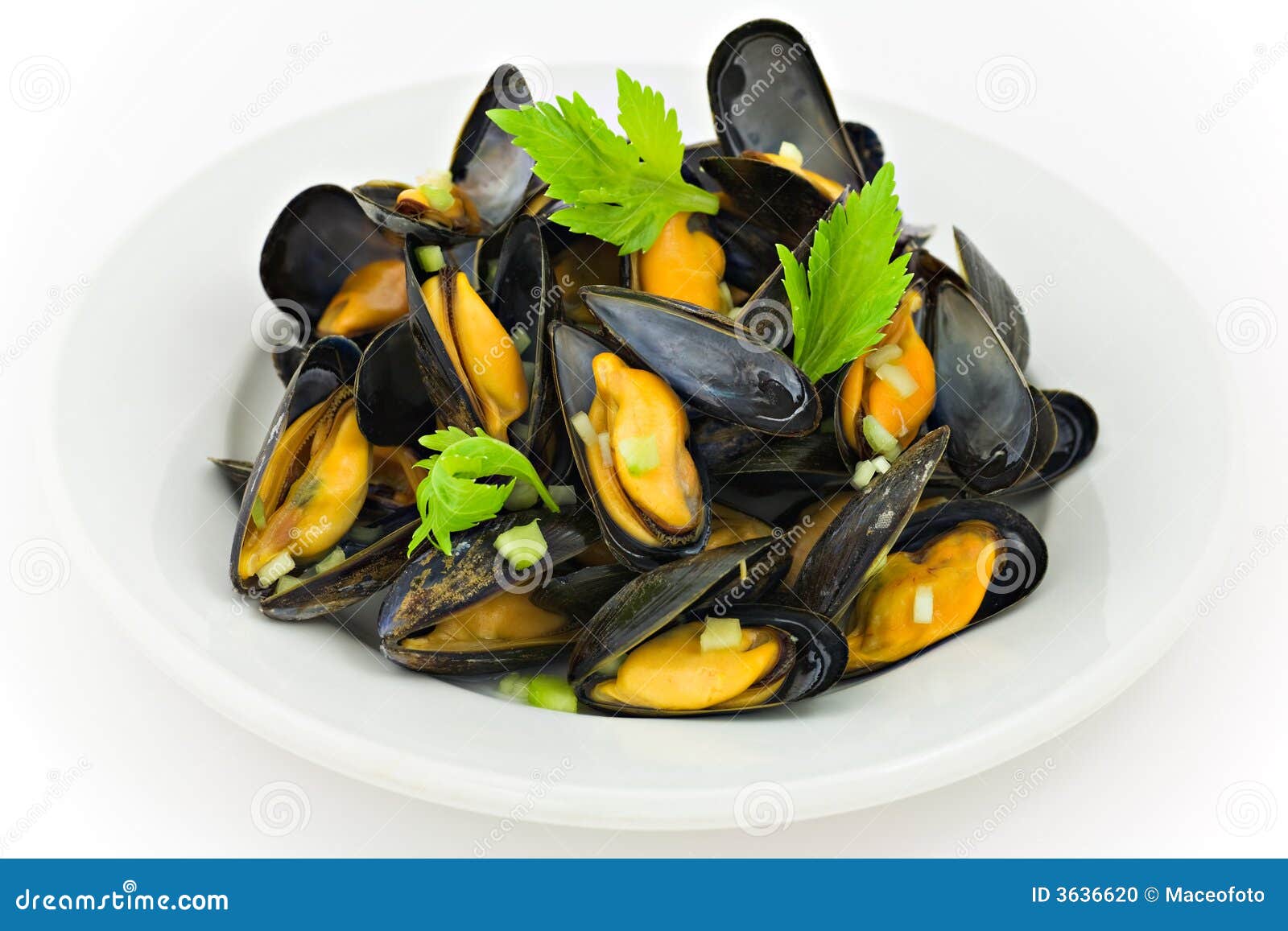 Mitili fotografia stock. Immagine di omega, seafood, molluschi - 3636620