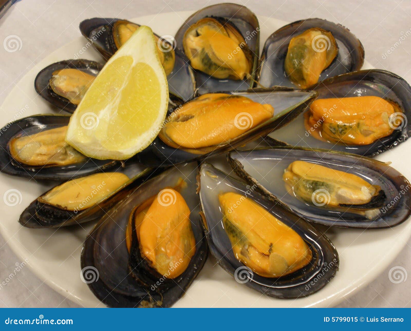 Mitili cotti a vapore immagine stock. Immagine di tropicale - 5799015