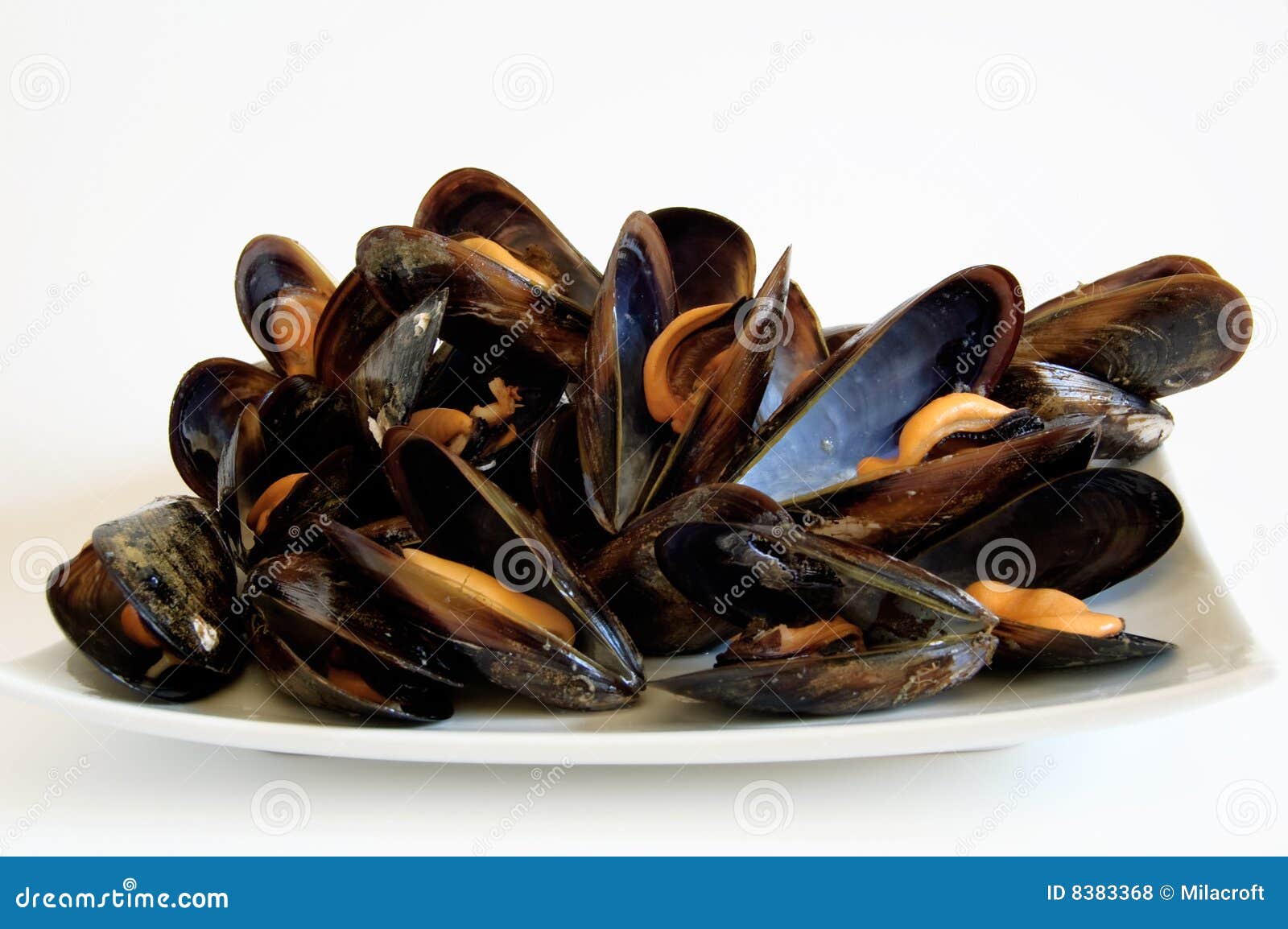 Mitili cucinati fotografia stock. Immagine di vivere, squisito - 8383368