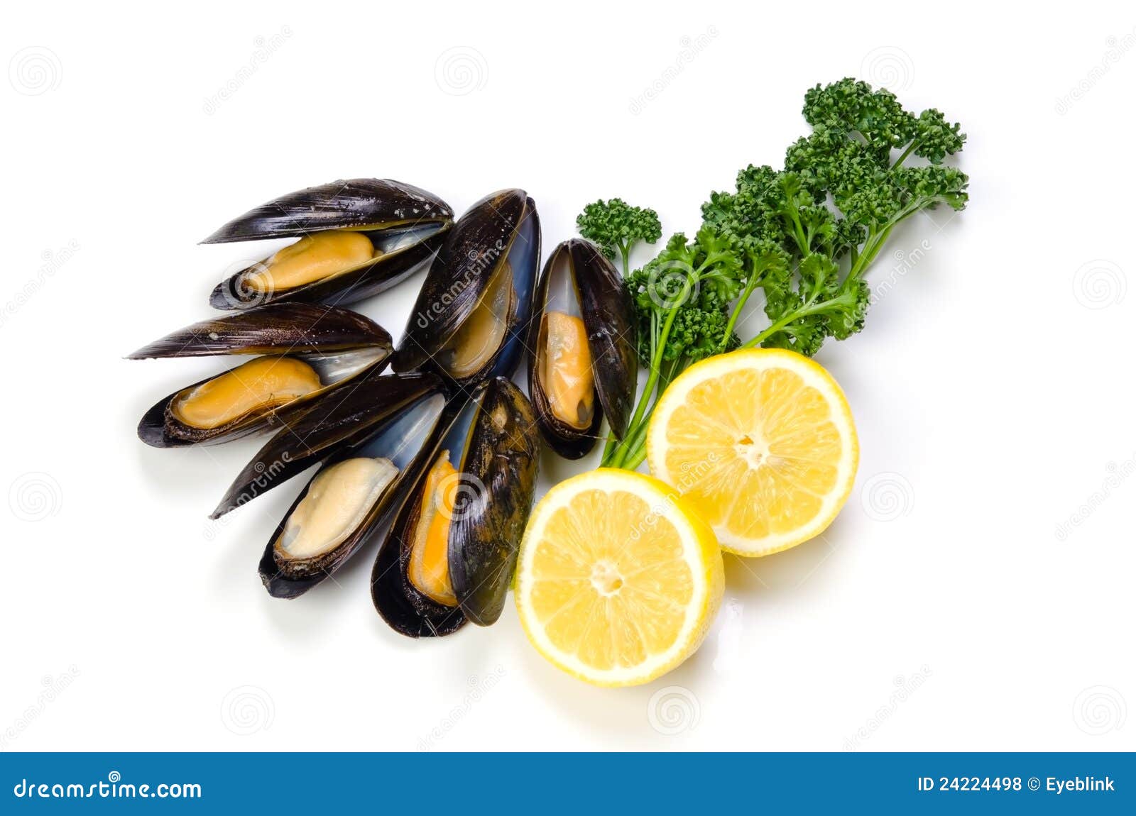 Mitilo fotografia stock. Immagine di alimento, bianco - 24224498