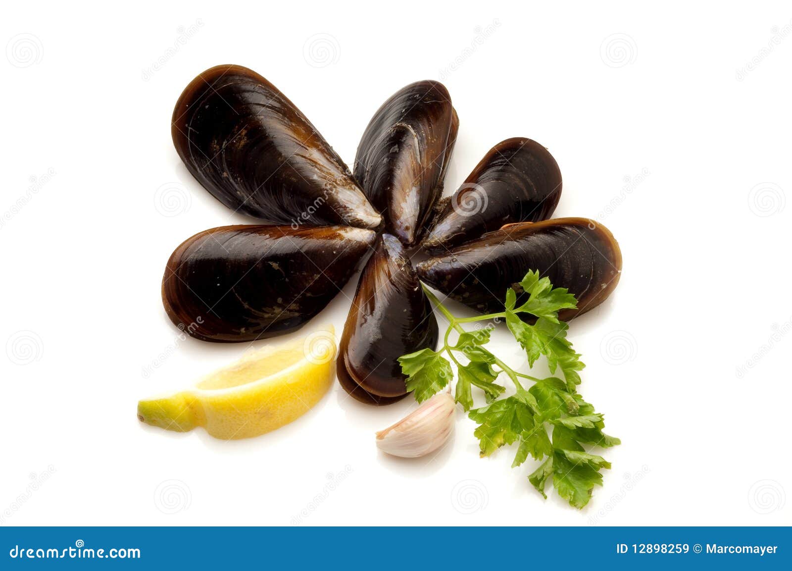 Mitilo Con Il Limone Affettato Immagine Stock - Immagine di cucina ...