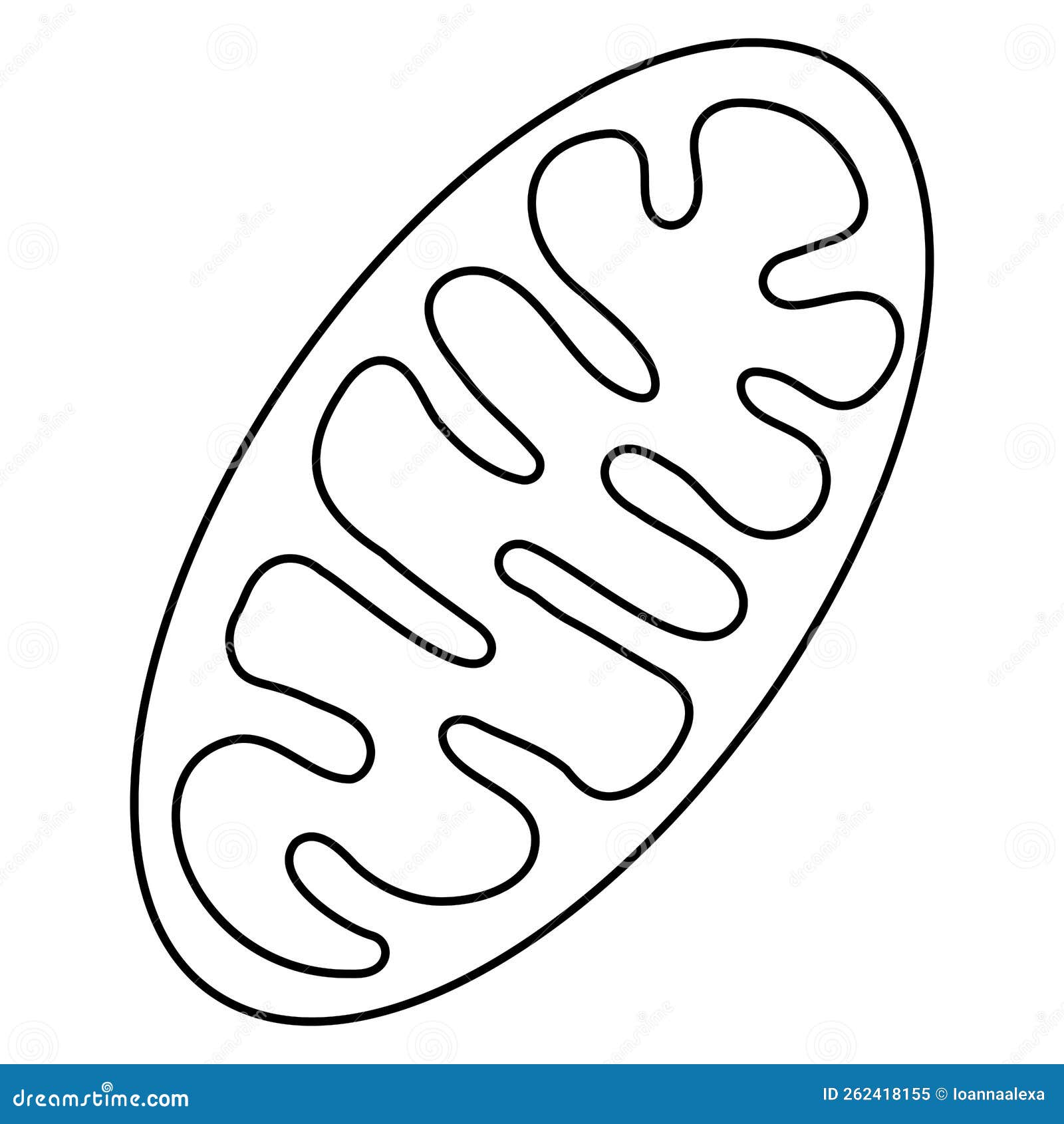 Mitochondria. Modern Minimal Black Thin Line Vector Icon Stock Vector ...