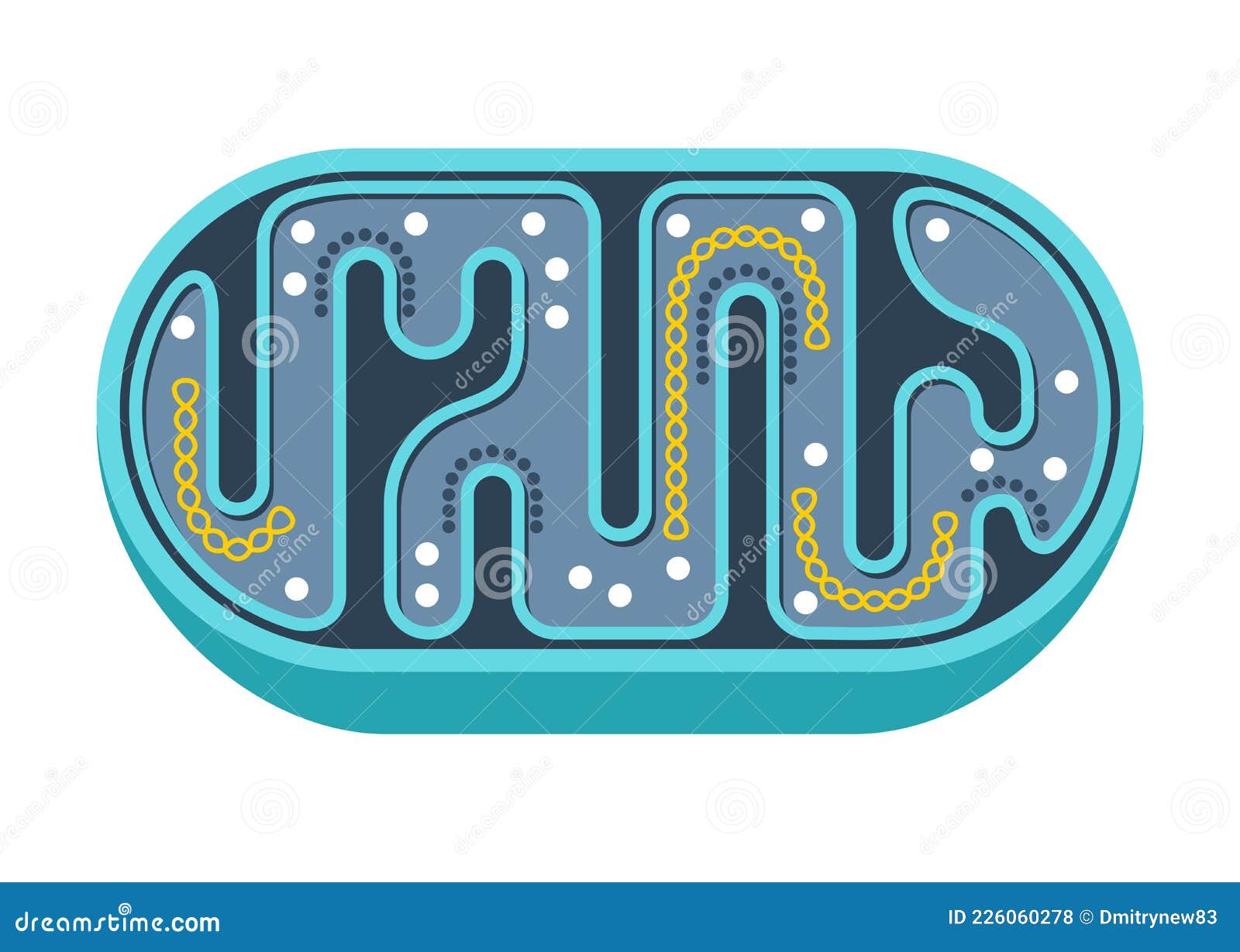 Mitochondria Slice Icon in Simple Style Stock Vector - Illustration of ...
