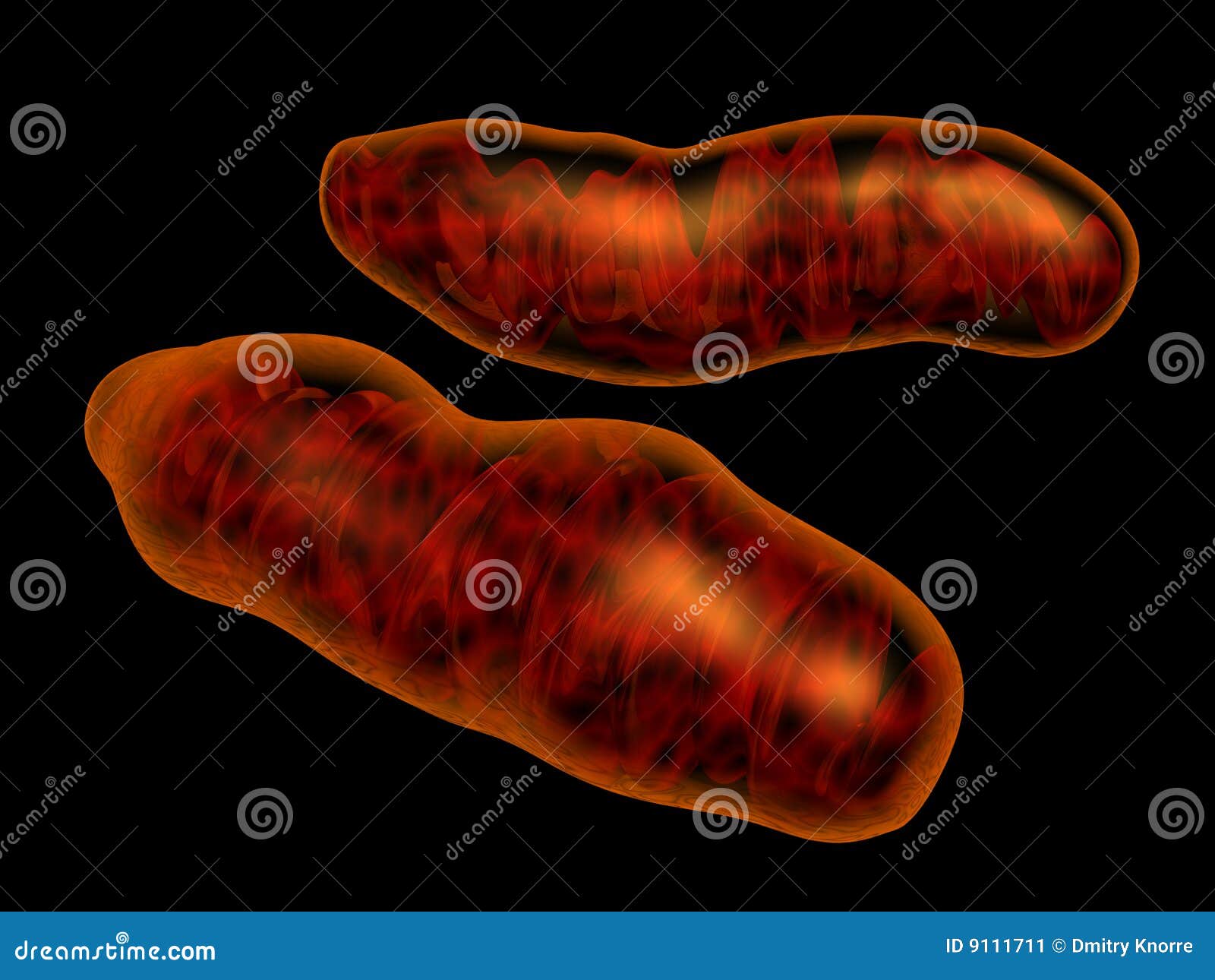 Mitocondri illustrazione di stock. Illustrazione di intracellulare ...