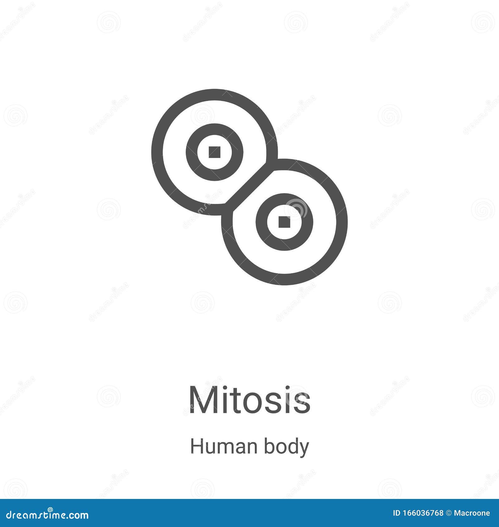 Mitosis Icon Vector from Human Body Collection. Thin Line Mitosis ...