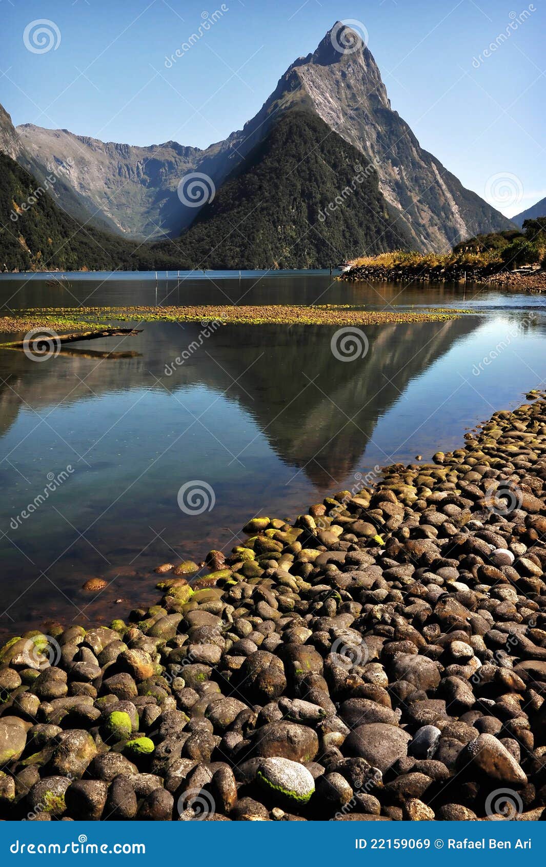 Mitre Peak stock image. Image of clear, beauty, lake - 22159069