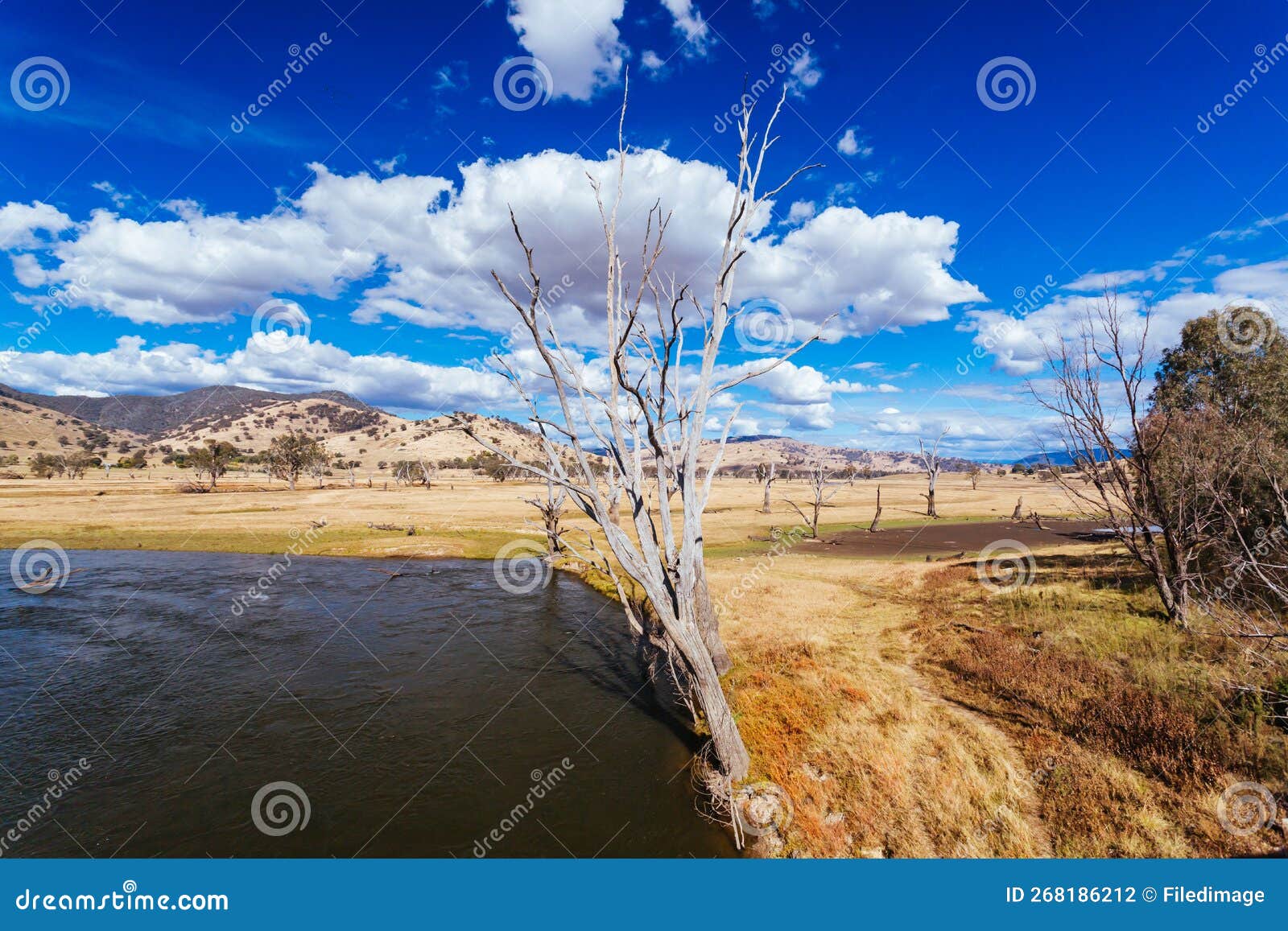 Mitta Valley Lookout in Australia Stock Photo - Image of summer, calm ... Mitta Valley Lookout in Australia Stock Photo - Image of summer, calm ...