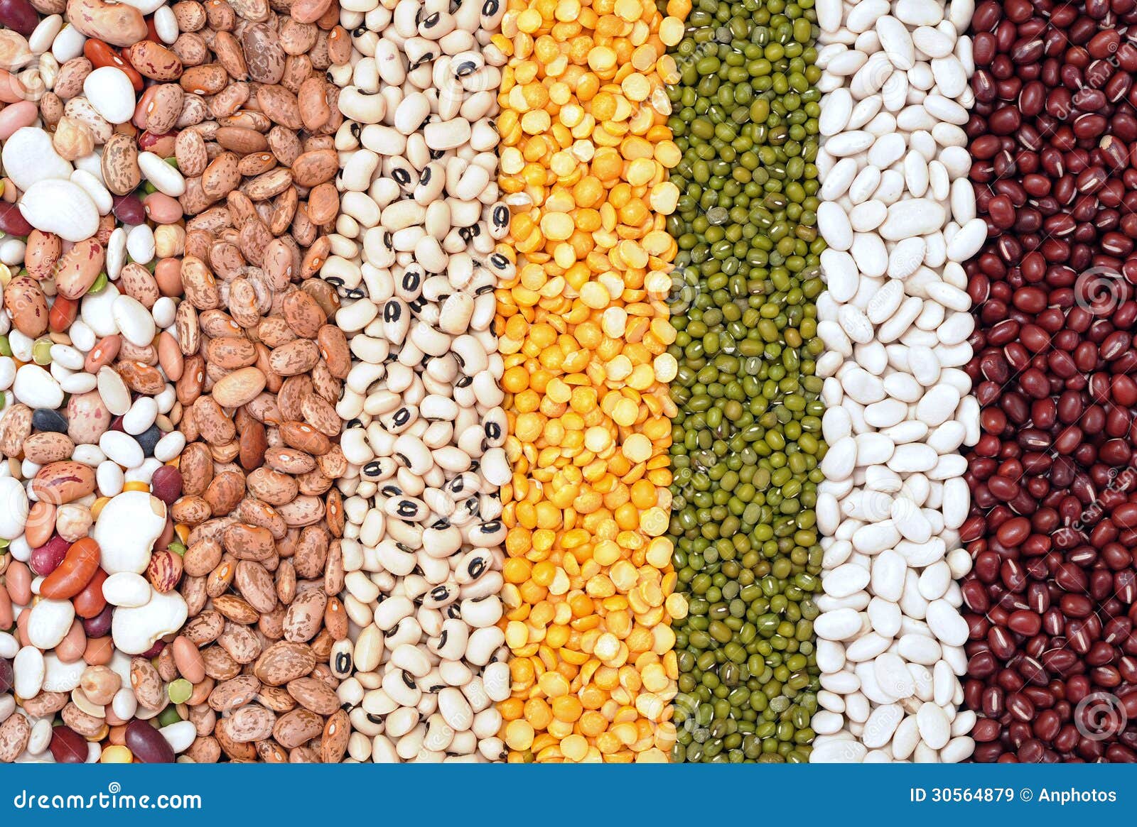 Mix of bean stock image. Image of healthy, nutrient, harvest - 30564879