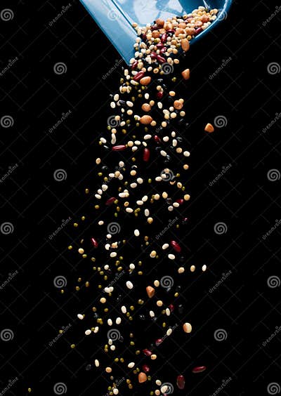 Mix Beans Fall Down Explosion, Several Multi Kind Bean Float Explode ...